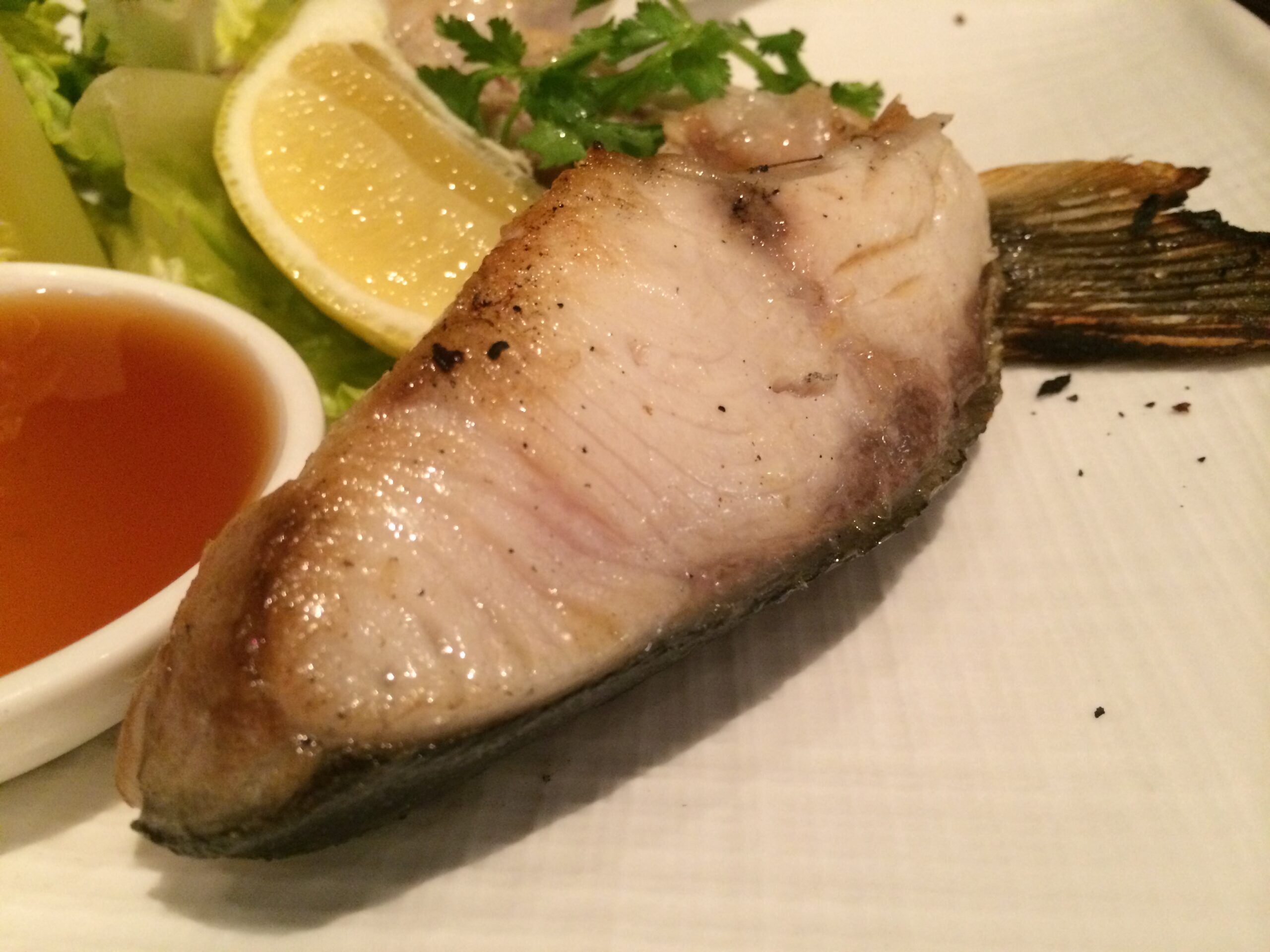 Yuba - The Sushi Legend