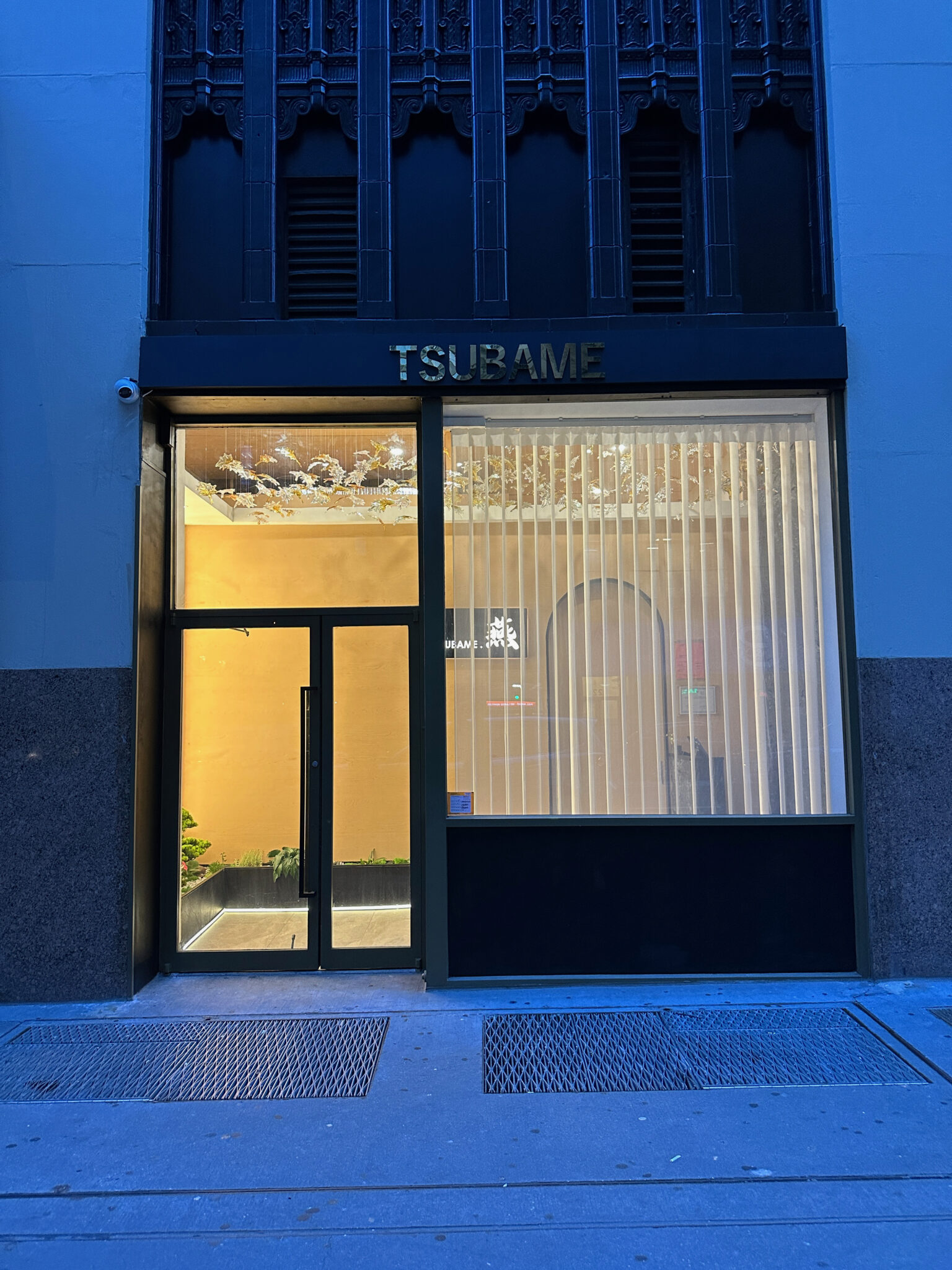 Tsubame Review | East TriBeCa